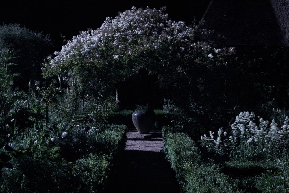 The White Garden – A Letter from England